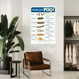 Poop Chart Bristol Stool Chart Poster Stool (1) Canvas Painting Wall ...