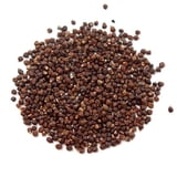 Grains of Paradise (Melegueta Pepper) - Walmart.com