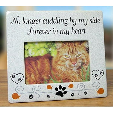 Pavilion - Cats Make Life Better 4x6 Picture Frame - Walmart.com