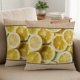 Farmhouse Lemons Throw Pillow Covers 16 x 16 Inch Pillow Covers Set of ...