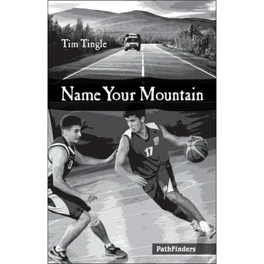 Shadowshaper (the Shadowshaper Cypher, Book 1) (Paperback) - Walmart.com