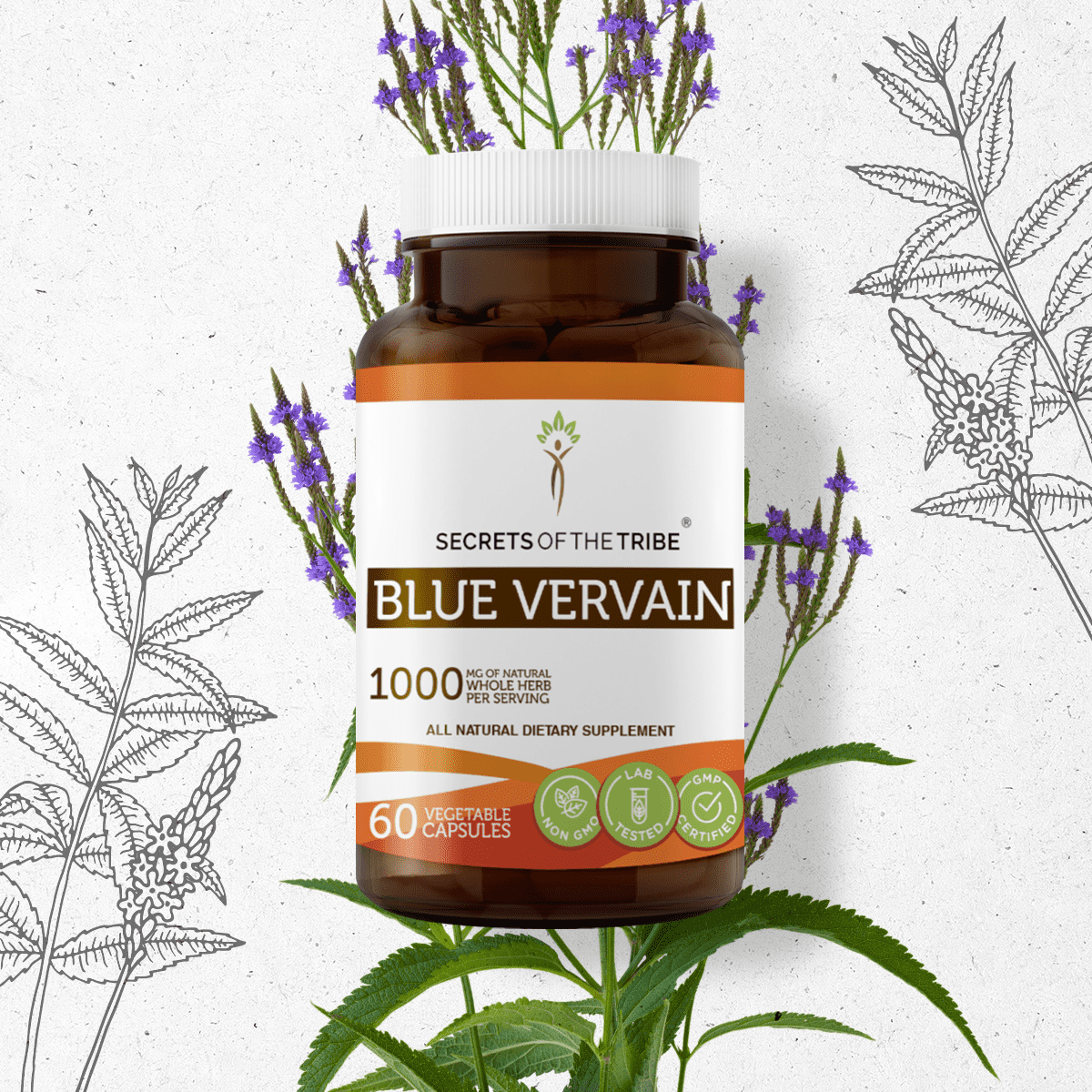 Secrets of the Tribe Blue Vervain 60 Capsules, 500 mg, Organic Blue ...