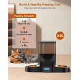 3.5L Automatic Cat Feeder for Two Cats with Stainless Steel Bowl Timed ...