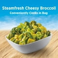 Birds Eye Steamfresh Sauced Cheesy Broccoli, Frozen Vegetable, 10.8 oz ...