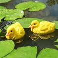 2 Pack - Ducks Pond Floating ornaments - Realistic Water Decor Set ...