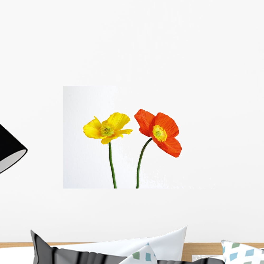 Yellow and Orange Poppy Wall Mural Decal Sticker, Wallmonkeys Peel ...