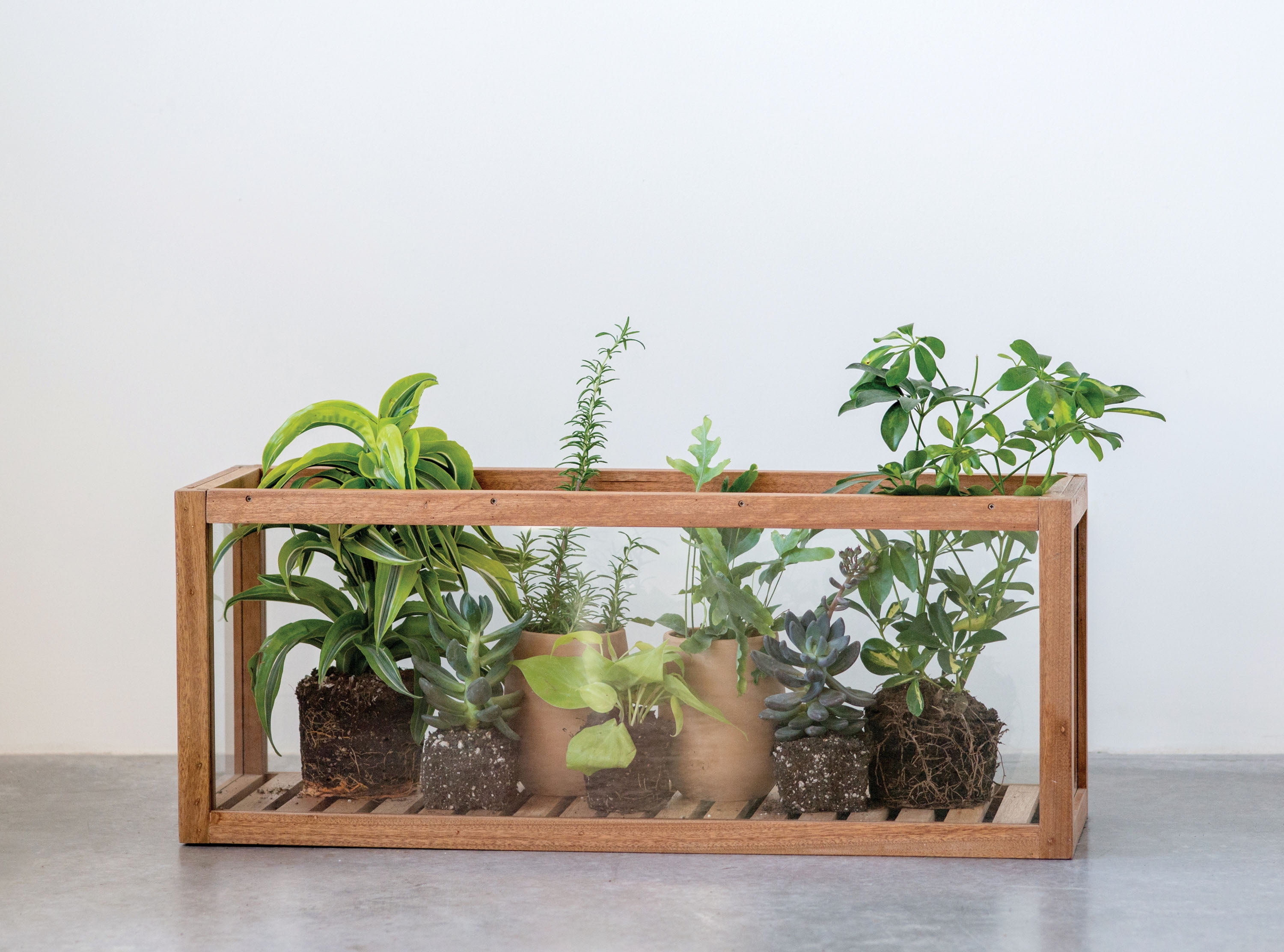 3R Studios Rectangle Mango Wood and Glass Display Case - Walmart.com