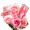 100 Stems Of Assorted Pink Roses Beautiful Fresh Cut Flowers Express