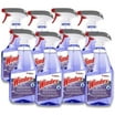 Windex Outdoor Window, Glass, & Patio Cleaner with Hose Attachment, 32 ...