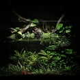 Ultum Nature Systems Controsoil - Planted Aquarium Substrate Soil for ...