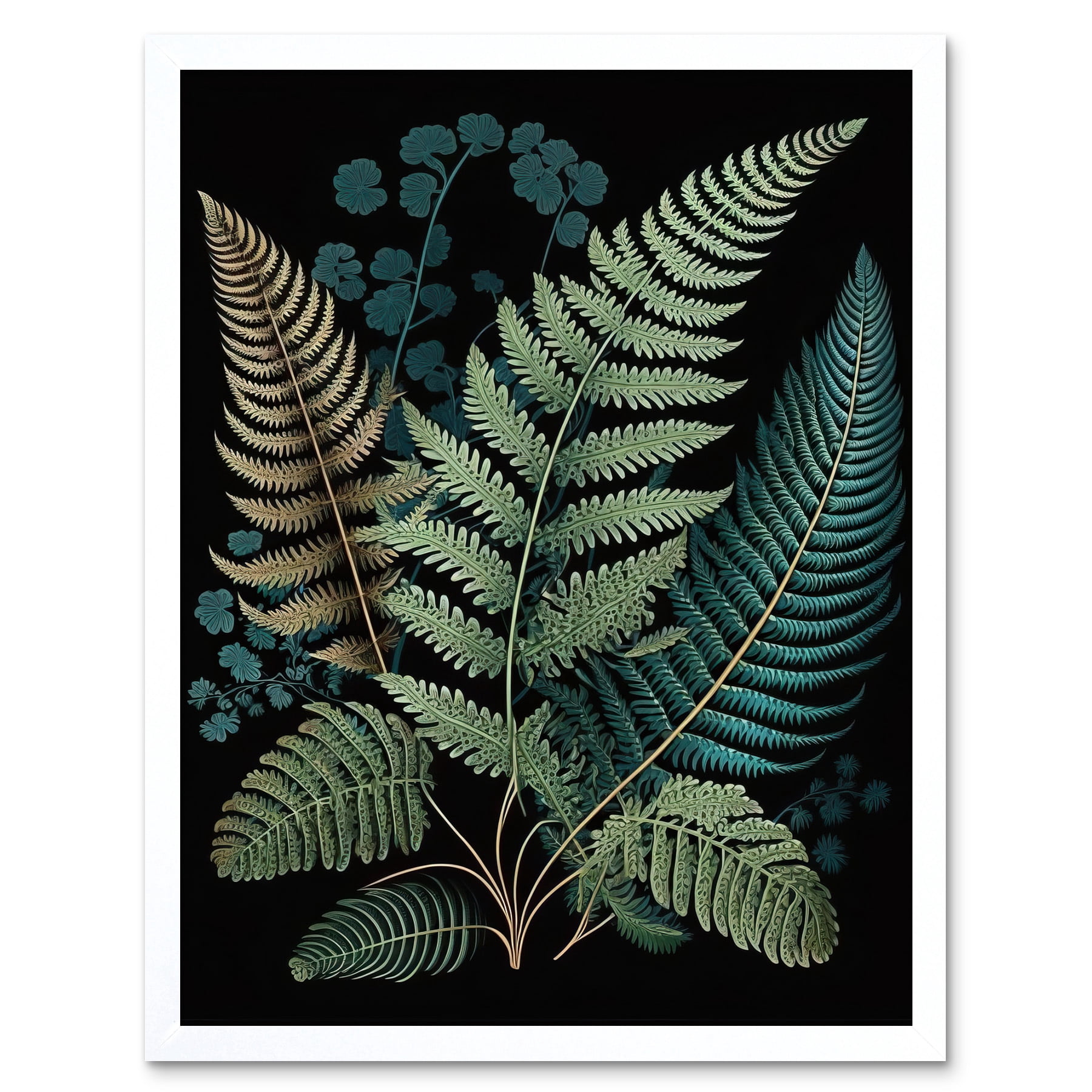 Detailed Leaves Fern Fronds Botanical Illustration Art Print Framed ...