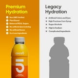 Coco5 Natural Pineapple Hydration Water Drink - Walmart.com