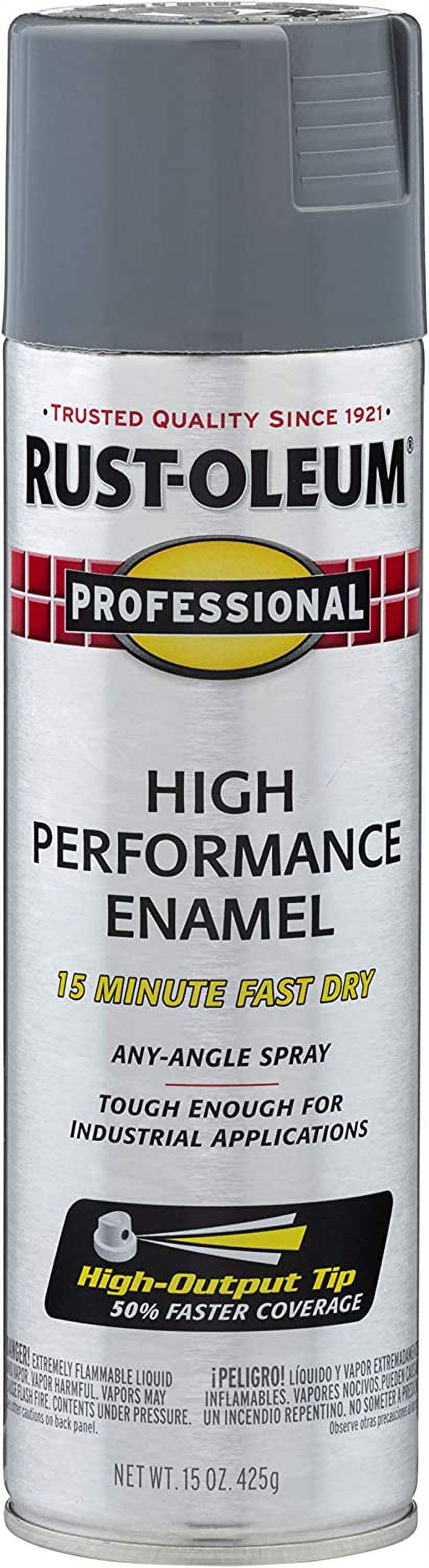 Rust-Oleum 7587838 Professional High Performance Enamel Spray Paint, 15 ...