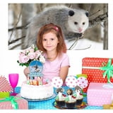 Opossum Birthday Party Supplies Decorations Plates Cake Topper Backdrop ...