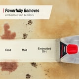 Rug Doctor Pet TruDeep Cleaner™, Professional-Grade Carpet Cleaner ...