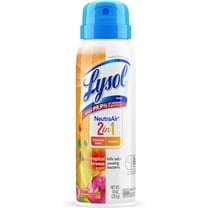 Lysol Professional IC Disinfectant Spray, 19oz with Control Flo Valve ...