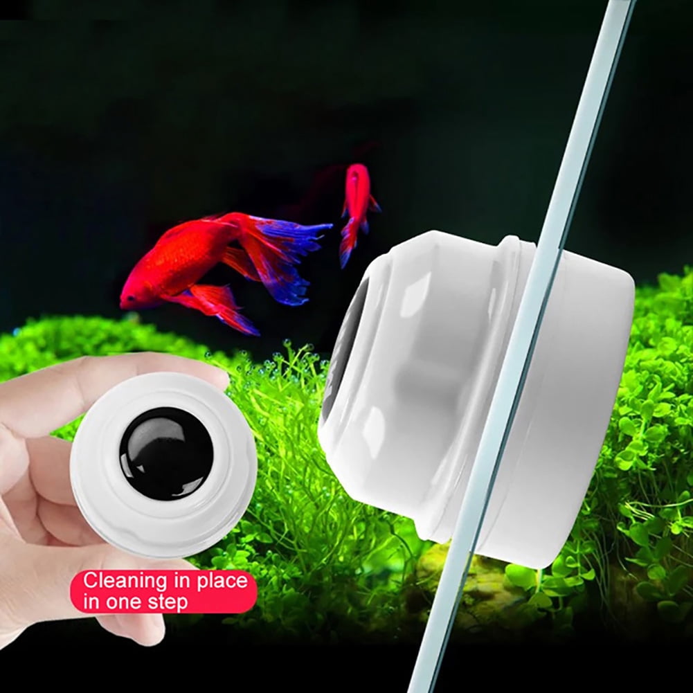 Revolutionize Your Aquarium: The Best Mini Magnetic Algae Scrubbers for ...