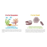 ABCs of Biology (Board Book) - Walmart.com