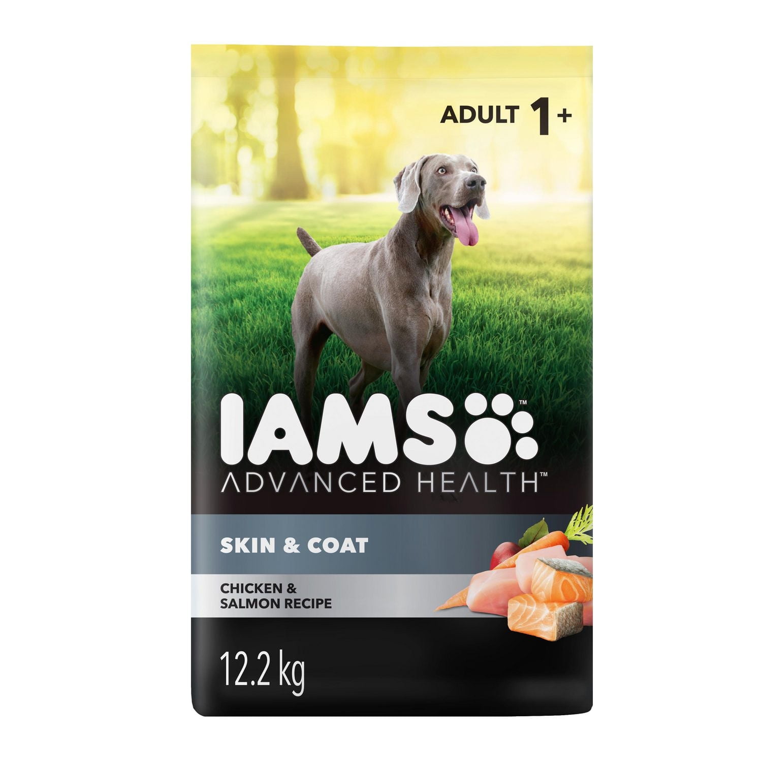 Iams Advanced Health Skin & Coat Chicken & Salmon Adult Dry Dog Food ...