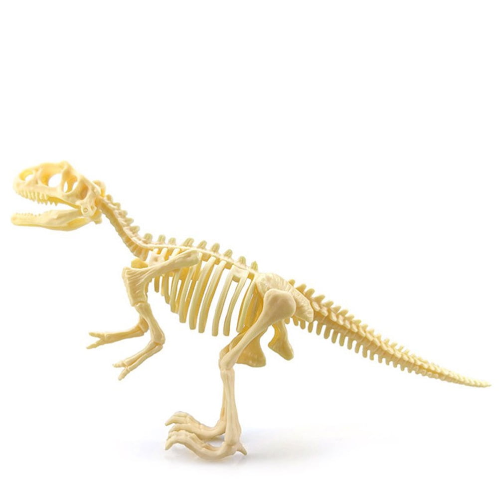 GloryStar Diy Dinosaur Skeleton Model Toy Dinosaur Building Blocks ...