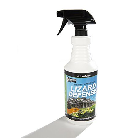 Lizard Defense All Natural Deterrent and Repellent Spray - Safe and ...