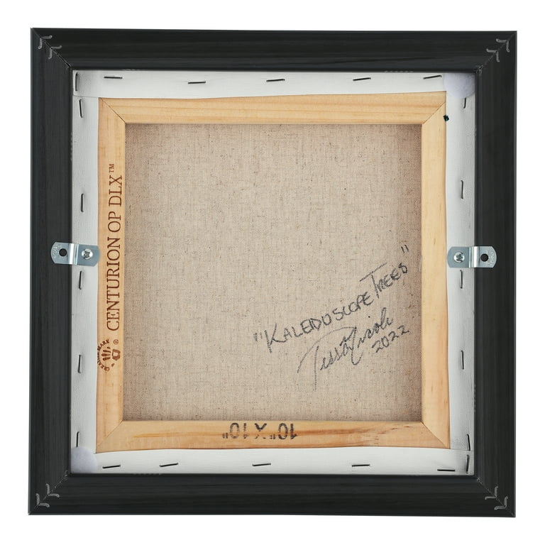 Jerry's Artarama Cardinali Renewal Core Floater Frame for 3 Jerry's Artarama Cardinali Renewal Core Floater Frame for 3