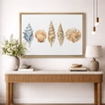 Framed Canvas Print Wall Art Assorted Seashells Study Print Coastal ...