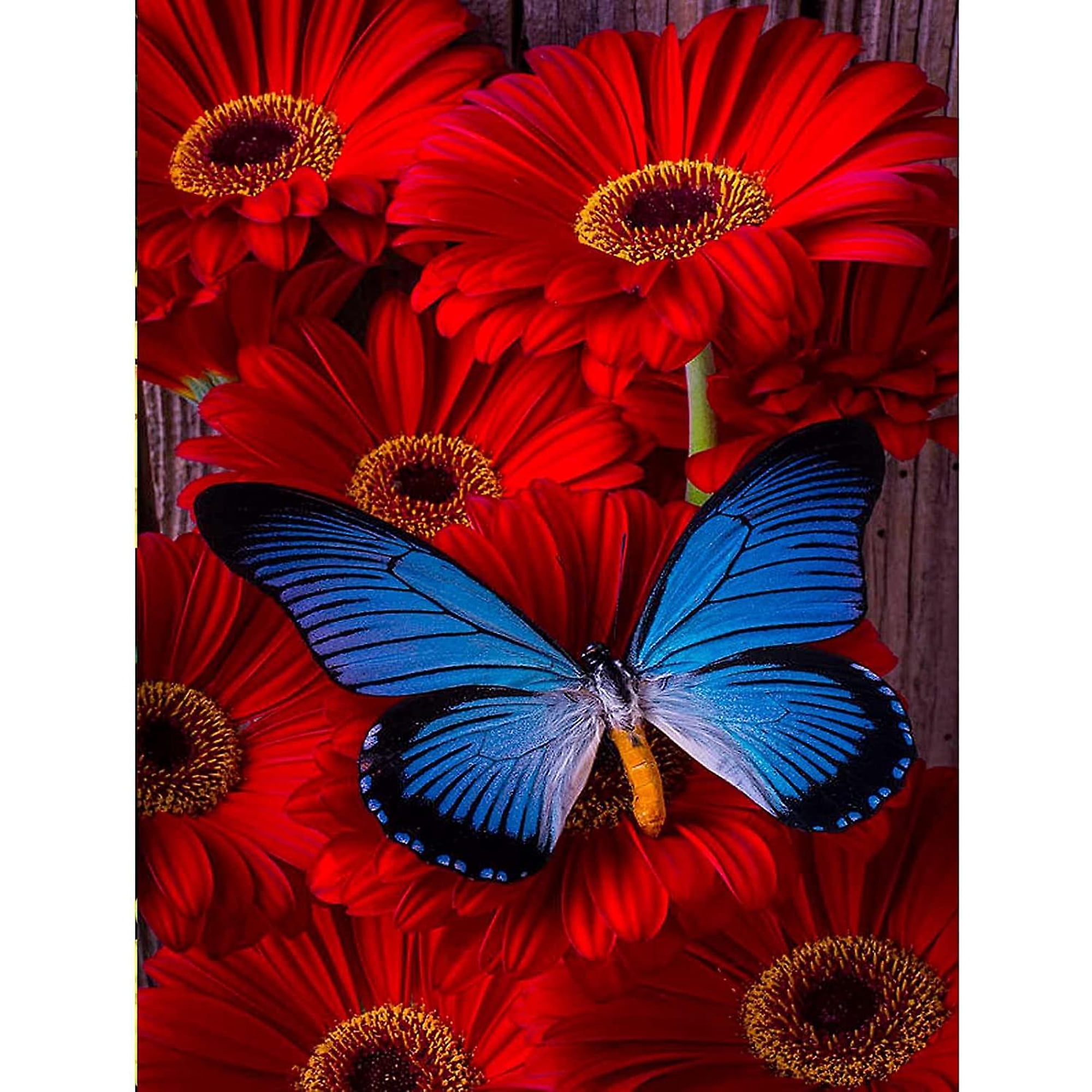 Click here for Geecy 5d Diamond Painting Kits For Adults  Diy 5d... prices