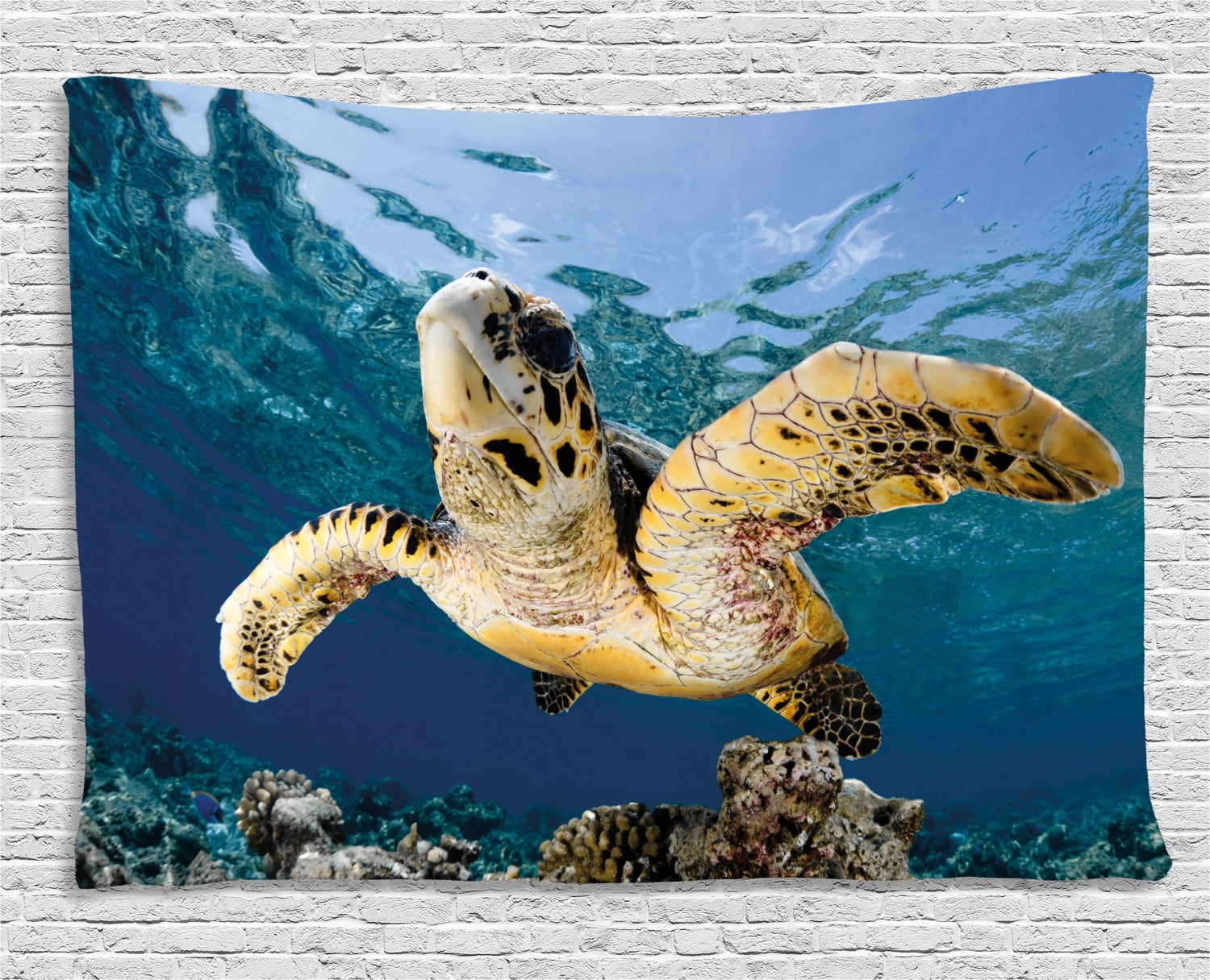 Turtle Tapestry, Hawksbill Sea Turtle in Blue Lagoon of Indian Ocean ...