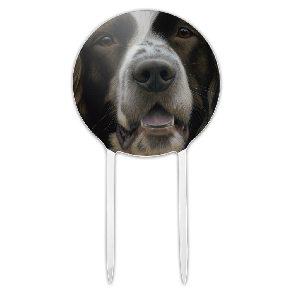 Acrylic English Springer Spaniel Dog Face Closeup Cake Topper Party ...