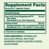 Spring Valley Blood Pressure Support Dietary Supplement Vegetarian ...