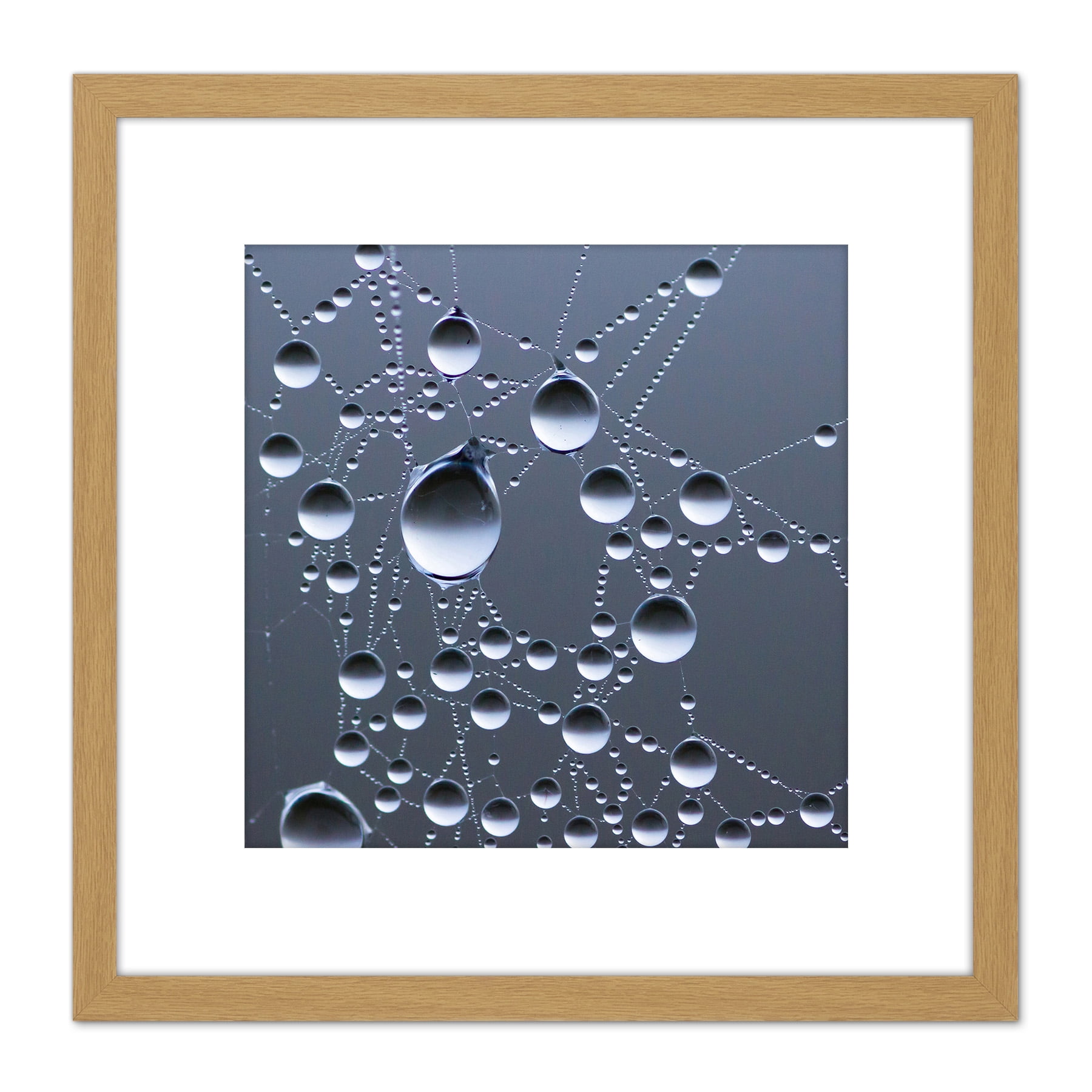 Sjostrom Dew On Spider Web Macro Photo 8X8 Inch Square Wooden Framed ...