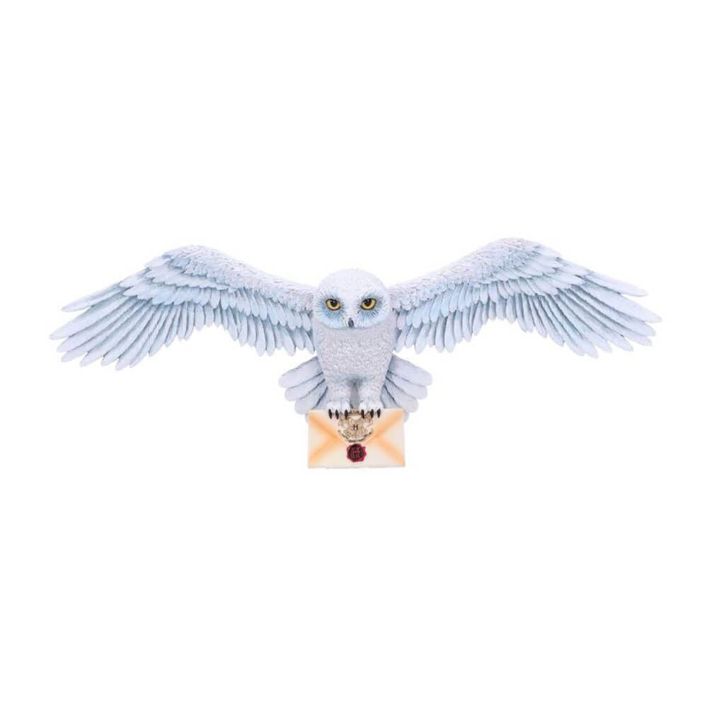 Harry Potter Hedwig Wall Decoration - Walmart.com