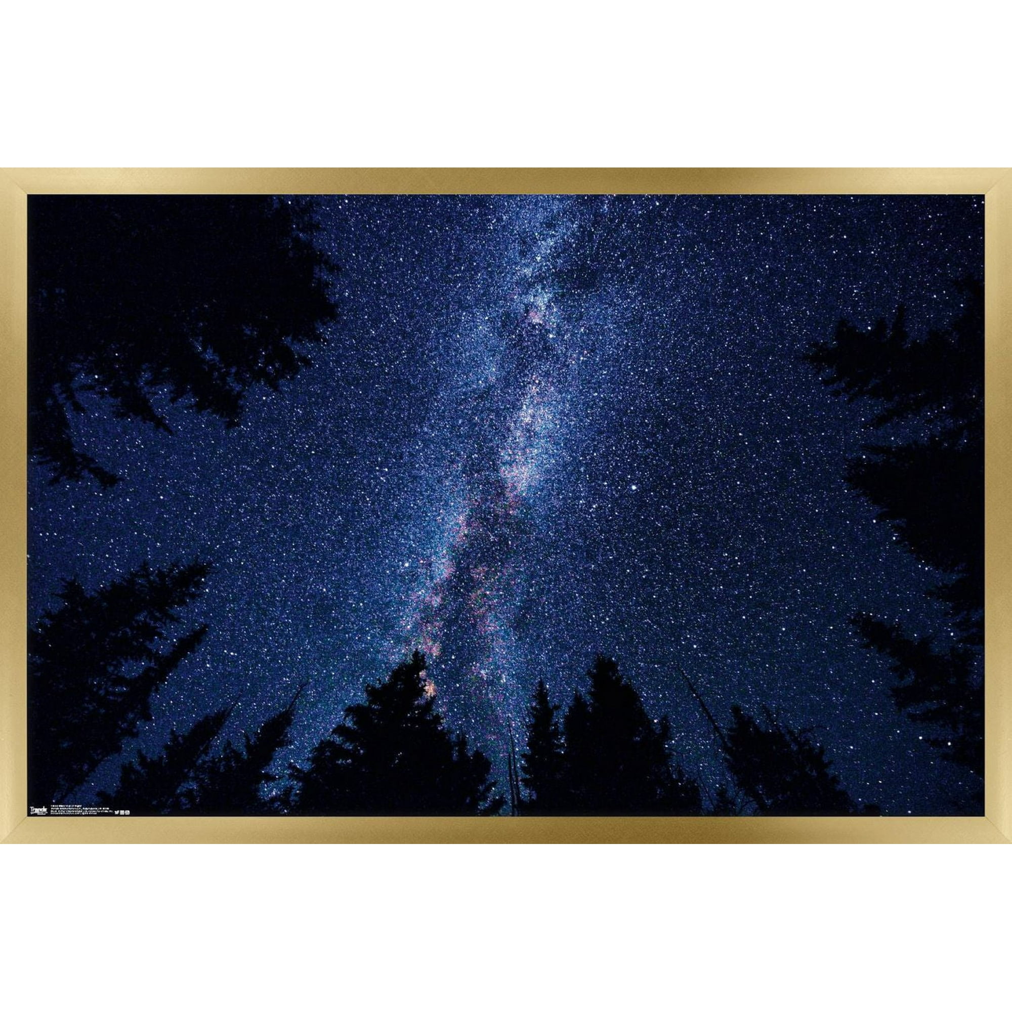 Click here for Trends International Milky Way At Night Wall Poste... prices