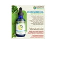Earth Elements Organics Organic Chickweed Oil Raw, Infused, Herbal Oil ...