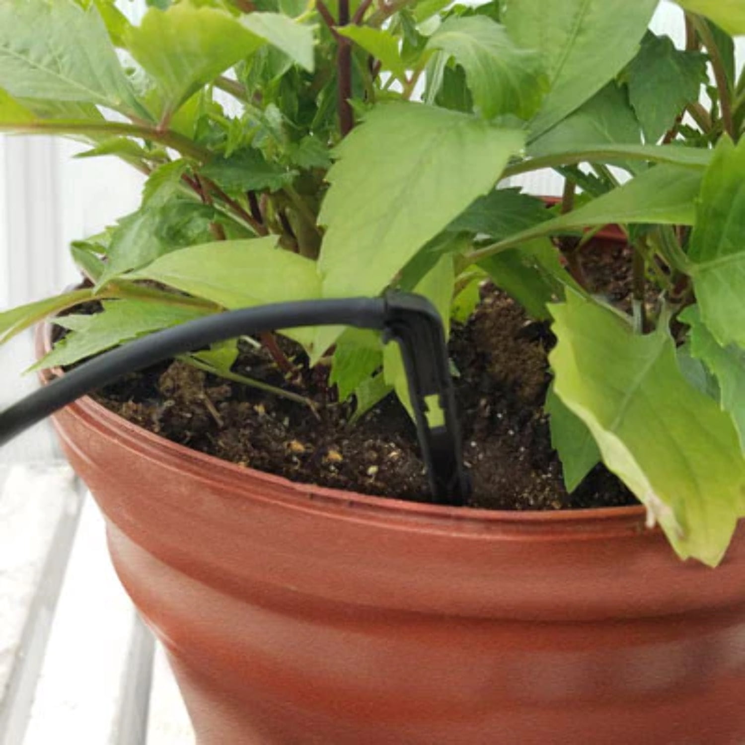 Jain Arrow Angled Drip Stake w/ 24 tube - Walmart.com