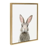 Kate and Laurel Sylvie Female Rabbit Framed Canvas Wall Art by Amy ...
