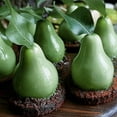 3D Pear Silicone Mold for Baking Mousse Cake French Dessert Pastry ...
