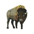 Threadart Machine Embroidery Design Bundles - Animal Sets - Forest Animals(1) - Loaded On USB ...
