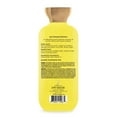 Bodycology 2 In 1 Body Wash And Bubble Bath Sun Kissed Lemons 16 Fl Oz