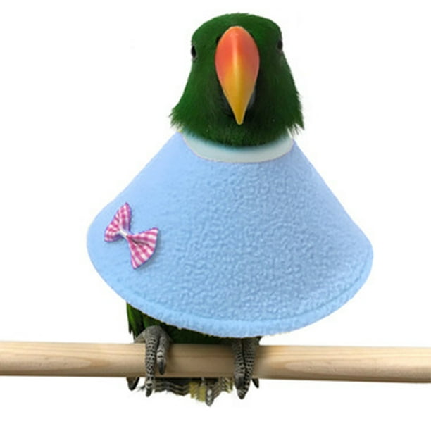 Bird Elizabethan Ring, Adjustable Parrot Cone Collar, Parrot Feather ...