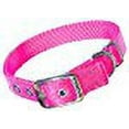 Hamilton 1" Double Thick Nylon Deluxe Dog Collar, 22" long, Hot Pink ...