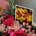 3drose, Red, Orange and Yellow Maples Leaves in Autumn., 6 Greeting ...