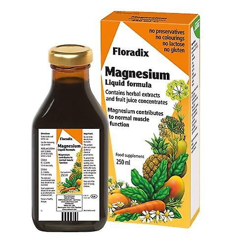 Floradix Magnesium Liquid Formula 250ml - Walmart.ca