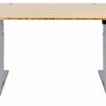 Autonomous SmartDesk - Height-Adjustable Standing Desk - Dual Motor ...