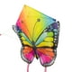 EOLO KITES Ready2Fly 22 in POP UP Butterfly Kite with Sport Bag! Ages 4 ...