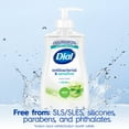 Dial Antibacterial Liquid Hand Soap, Aloe Scent, Hypoallergenic, 11 fl ...