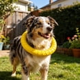 Ailezt Dog Ring Toy Dog Training Chew Toy for Outdoor Aggressive Pet ...