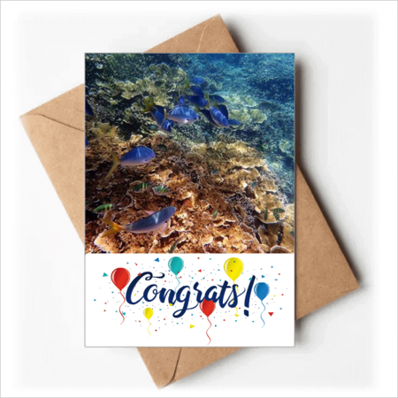Ocean Colorful Fish Science Nature Picture Wedding Cards ...