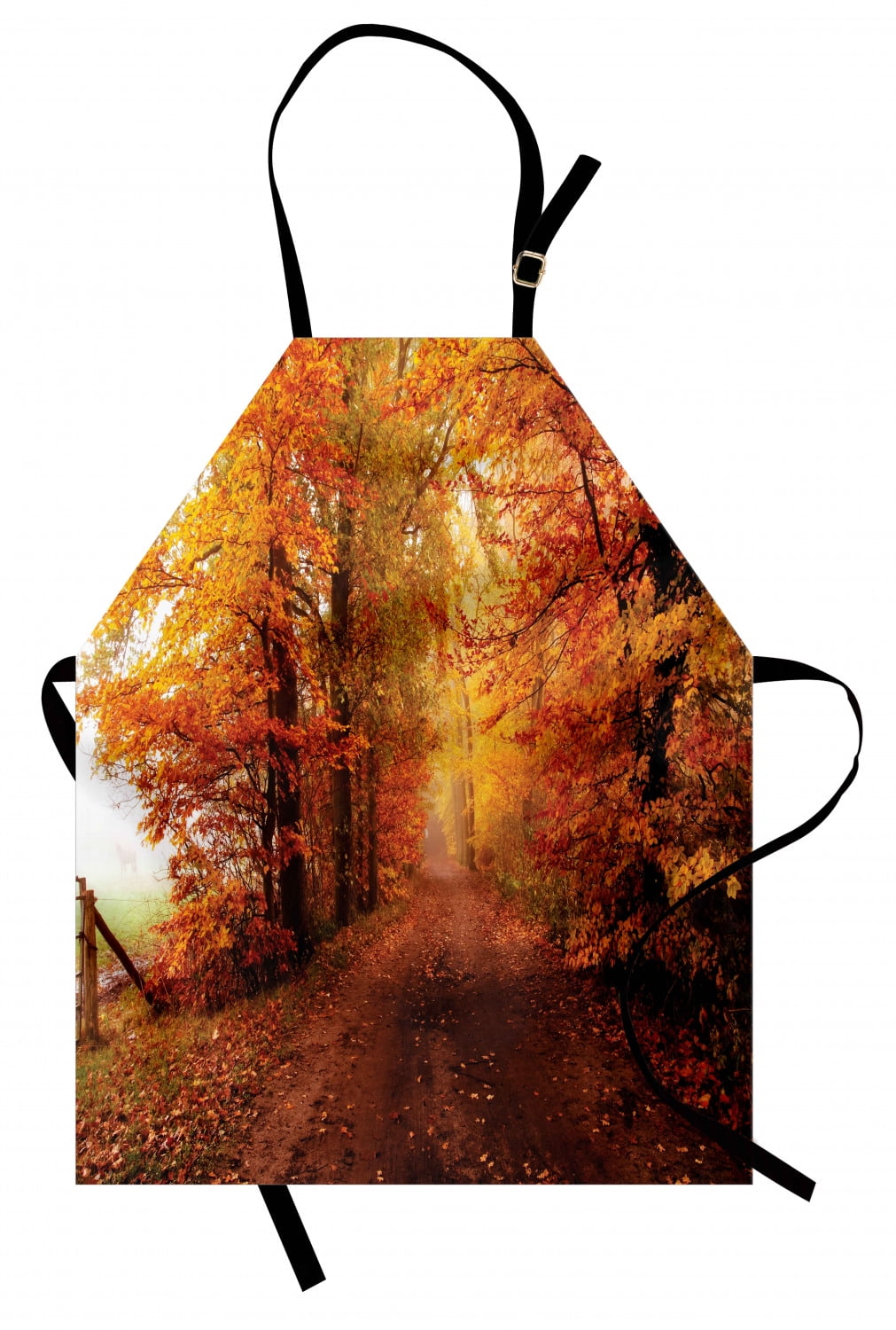 Fall Apron Footpath in Foggy Woods Peaceful September Serene Idyllic ...